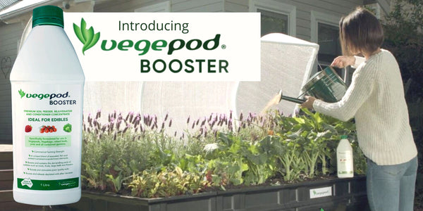 Vegepod's New Product! – Vegepod Australia