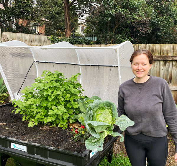 Pod to Plate: Emelia Jackson's recipe - Vegepod Australia